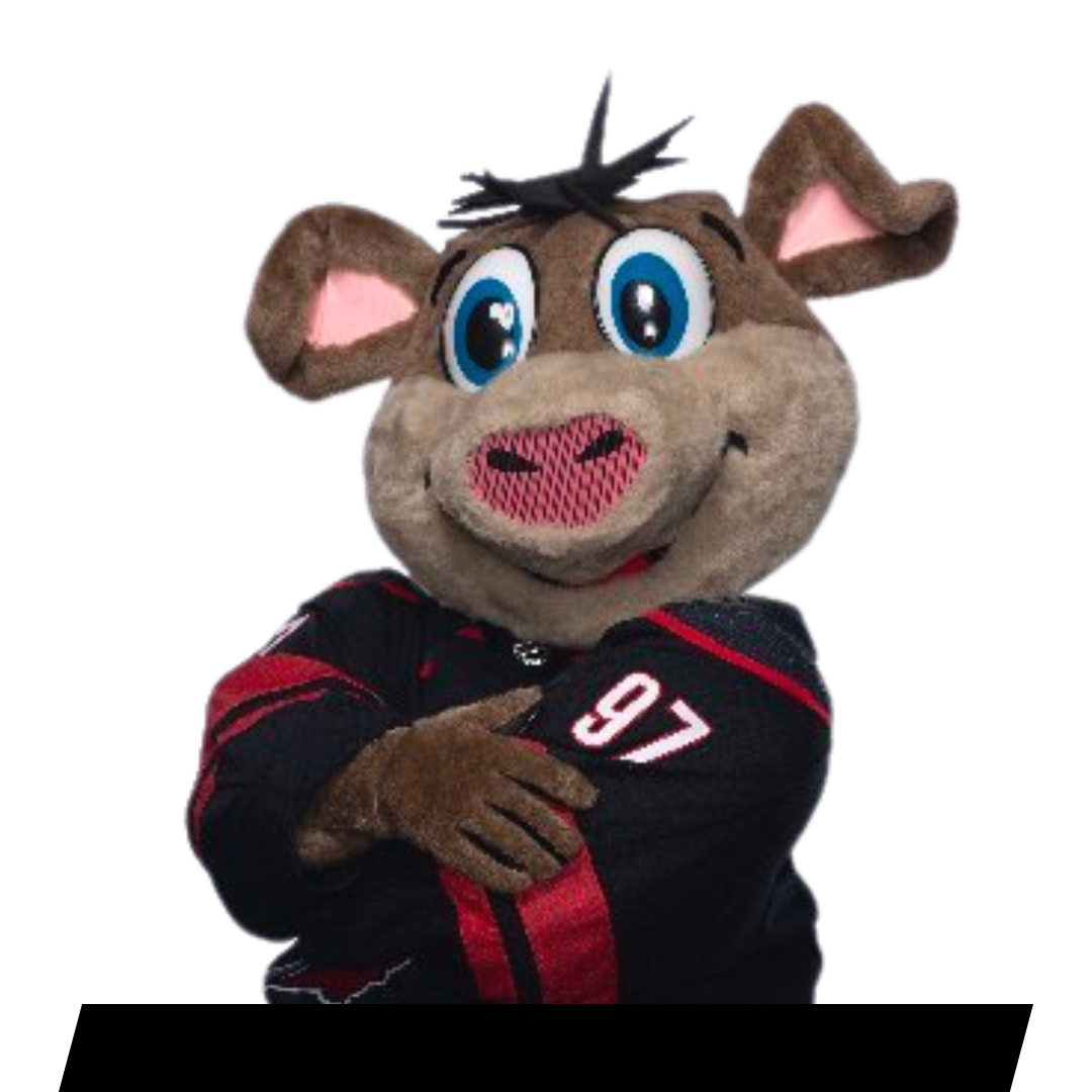 NHL Carolina Hurricanes Stormy MascotLink nhl-carolina-hurricanes-stormy-mascotlink
